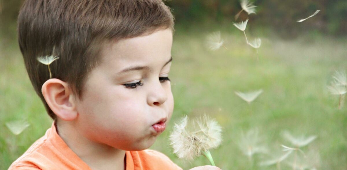 Zijn pleegkinderen ten laste van het pleeggezin? | Pleegzorg Vlaanderen